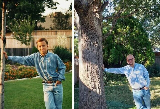 25 Photos Of Trees On An Incredible Growth Journey | DeMilked