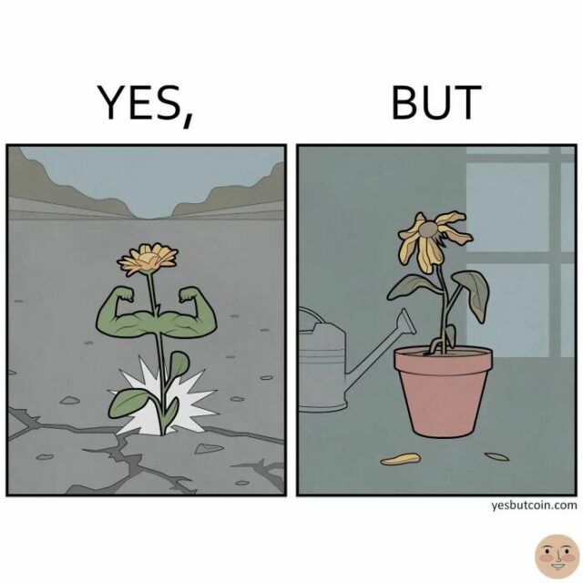 “Yes, But”: 25 Illustrations By Anton Gudim That You Might Love If You ...