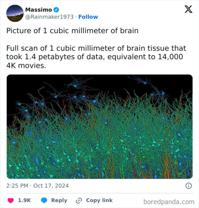 25 Times Facts Were Presented In The Most Aesthetic And Informative Way ...