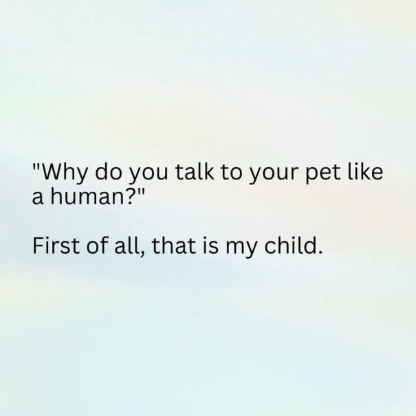 25 Lighthearted Posts From A Random Meme Page | DeMilked