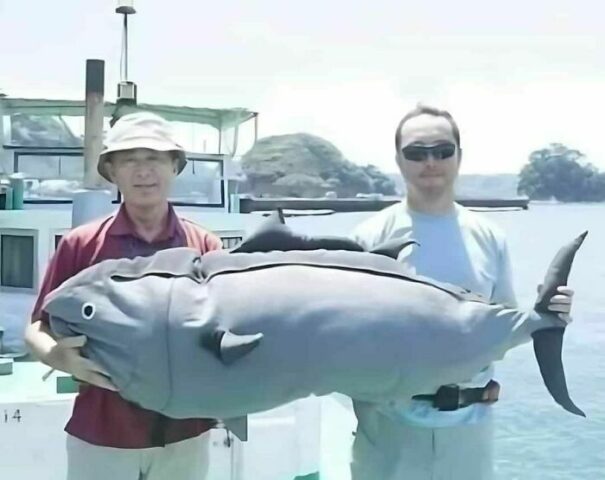 40 Funny Pics That Don’t Require Any Context | DeMilked