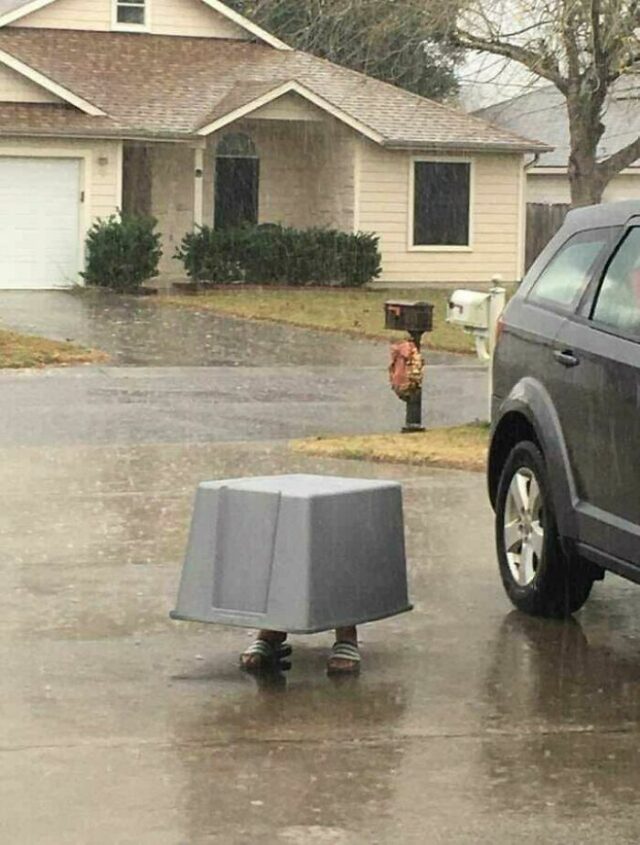 40 Funny Pics That Don’t Require Any Context | DeMilked