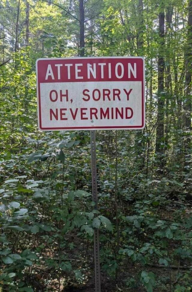 40 Funny Pics That Don’t Require Any Context | DeMilked