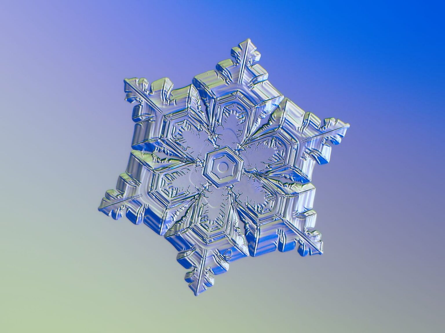 12 Macro Photographs By Alexey Kljatov Capturing The Delicate Intricacy Of Snowflakes | DeMilked