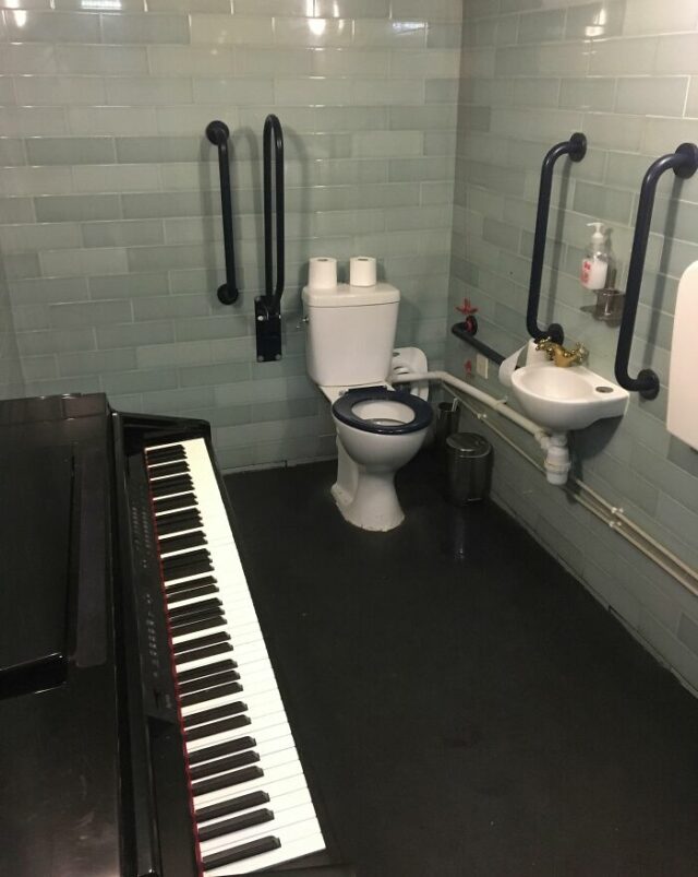 40 Of The Most Hilarious Bathroom Designs Found Online | DeMilked
