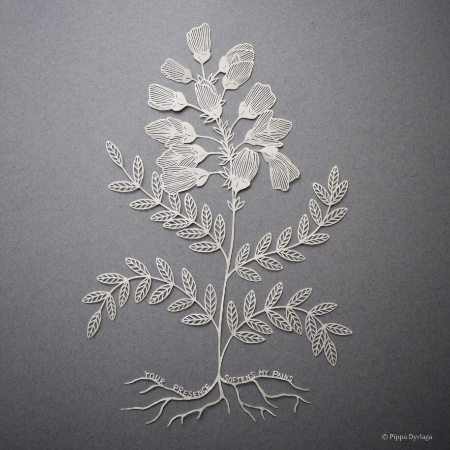 British Artist Pippa Dyrlaga Captures Nature's Beauty Through Intricate ...