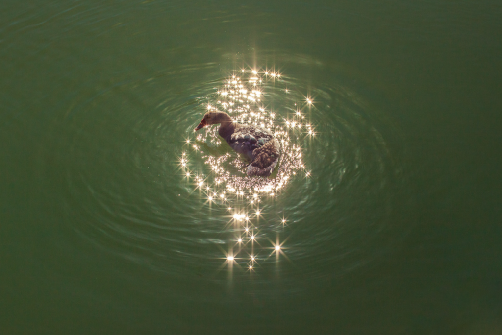 “The Coincidence Project”: 10 Of Denis Cherim’s Best Photographs | DeMilked