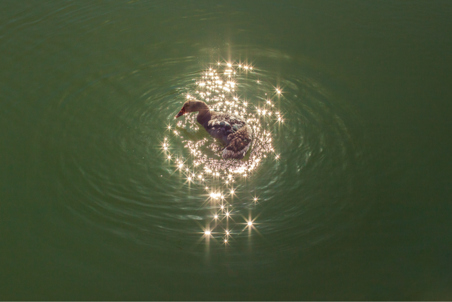 “The Coincidence Project”: 10 Of Denis Cherim’s Best Photographs | DeMilked