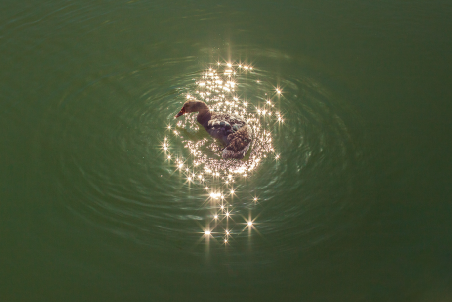 “The Coincidence Project”: 10 Of Denis Cherim’s Best Photographs | DeMilked