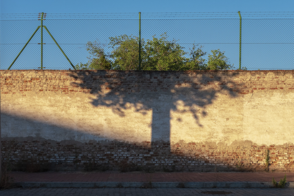 “The Coincidence Project”: 10 Of Denis Cherim’s Best Photographs | DeMilked