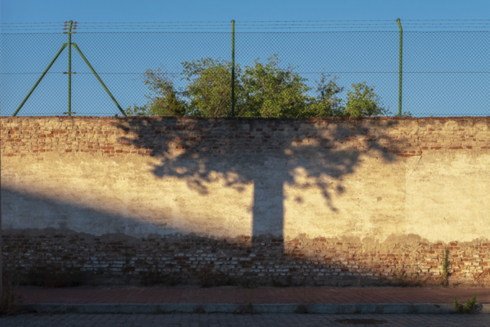 “The Coincidence Project”: 10 Of Denis Cherim’s Best Photographs | DeMilked