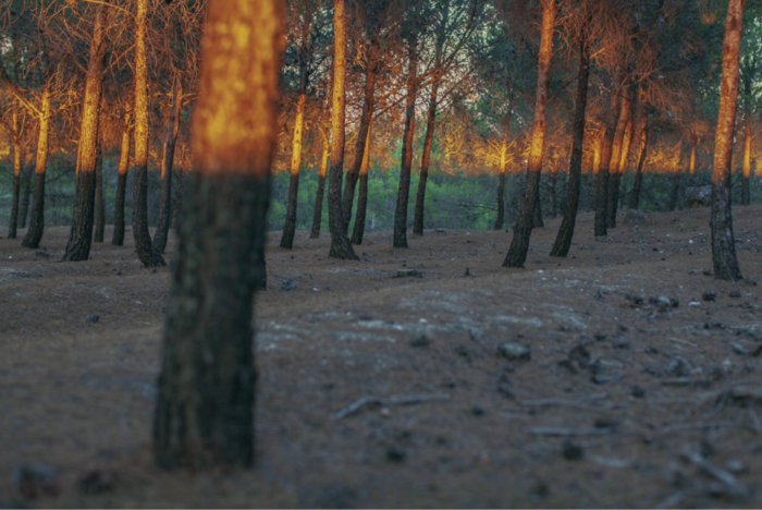 “The Coincidence Project”: 10 Of Denis Cherim’s Best Photographs | DeMilked