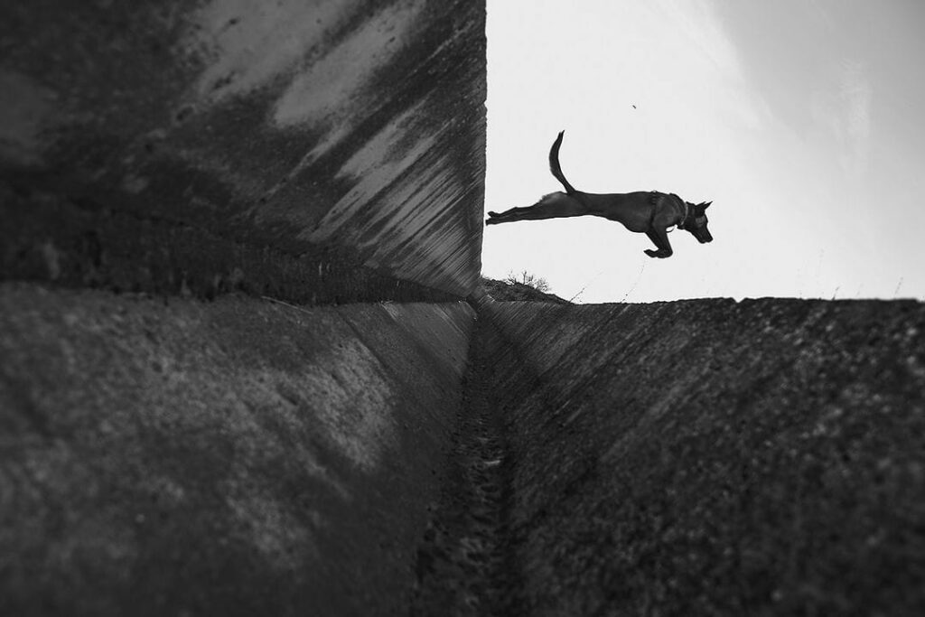 “The Coincidence Project”: 10 Of Denis Cherim’s Best Photographs | DeMilked