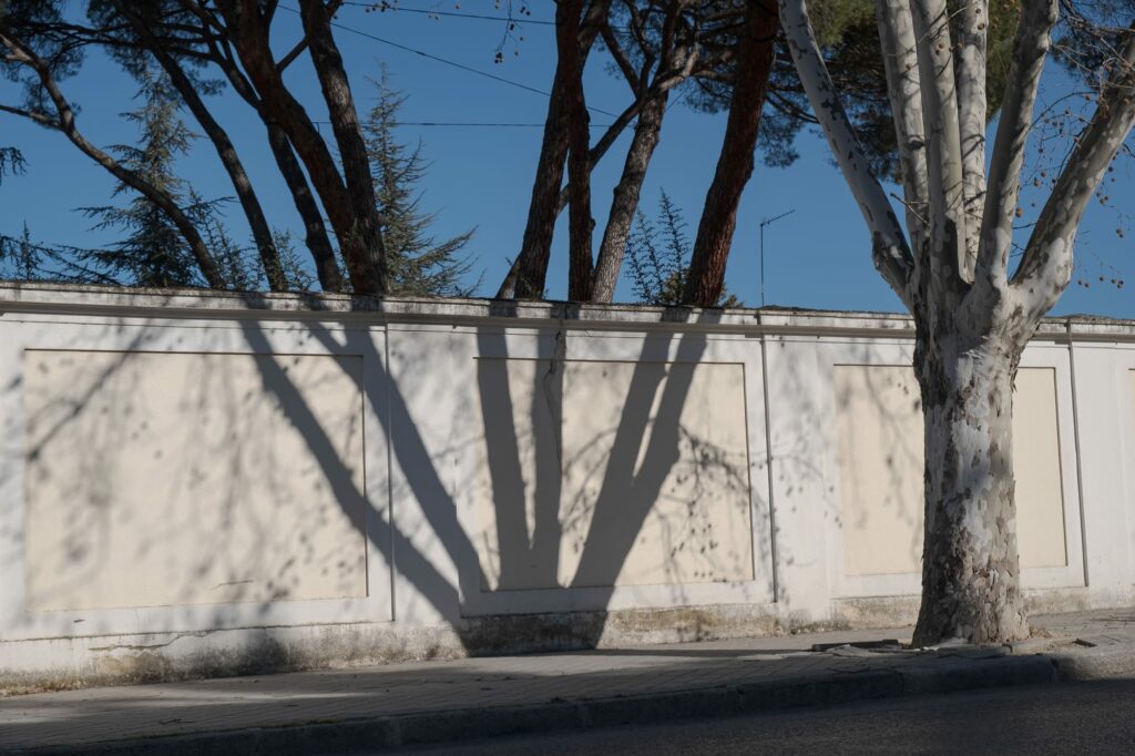 “The Coincidence Project”: 10 Of Denis Cherim’s Best Photographs | DeMilked