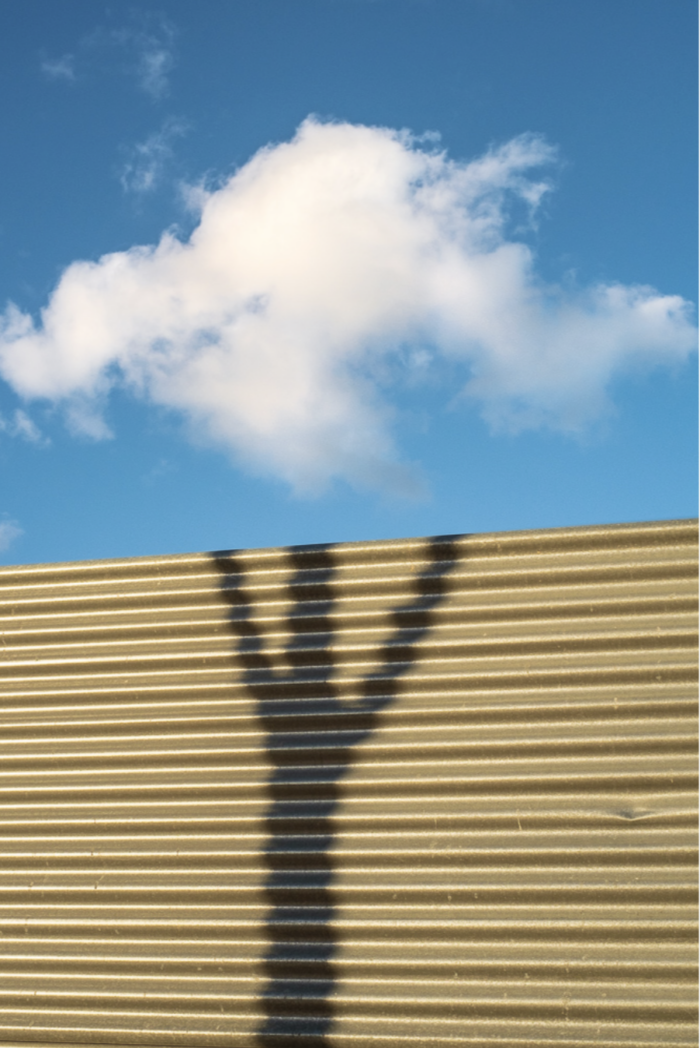 “The Coincidence Project”: 10 Of Denis Cherim’s Best Photographs | DeMilked