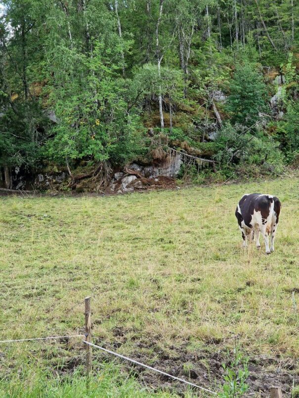 25 Of The Most Interesting Pics Of Camouflage People Have Submitted To ...