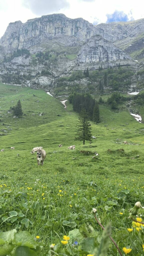 25 Of The Most Interesting Pics Of Camouflage People Have Submitted To ...