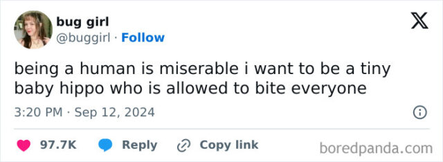 30 'Meme Culture' Posts That May Help You Survive Life | DeMilked