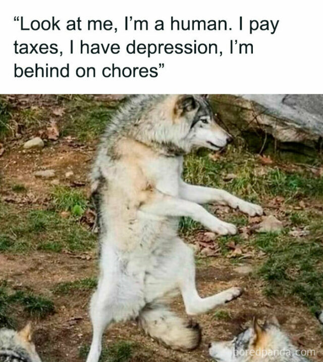 35 Memes About Being 30-something, As Shared By This Instagram Page ...