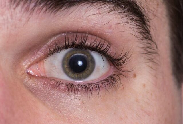 40 Photos That Give A Fresh Perspective Of The Human Body | DeMilked