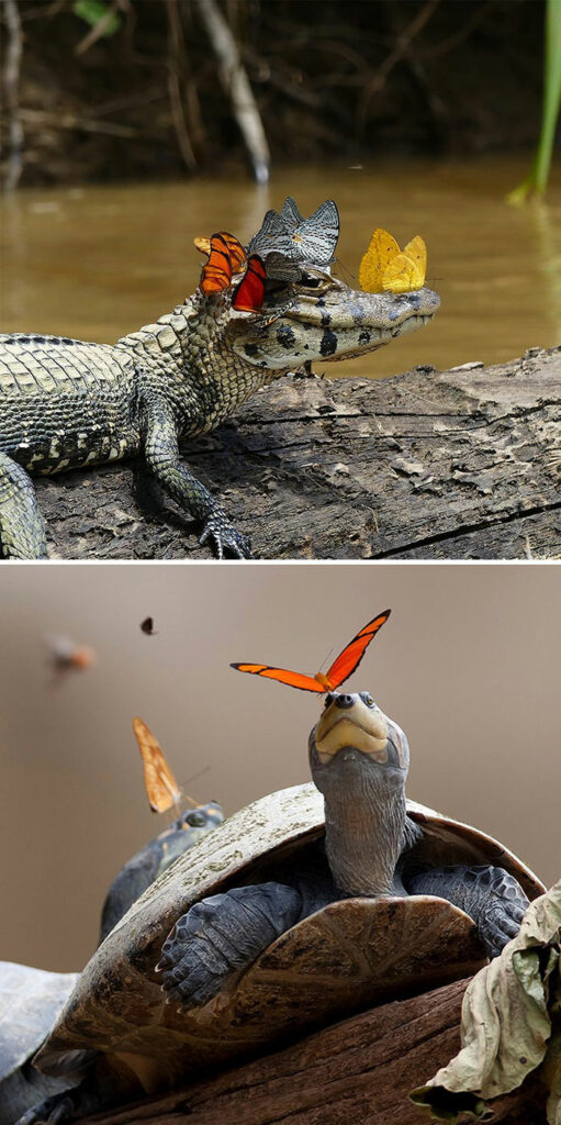 25 Random And Fascinating Facts Shared On This Popular Instagram Page ...