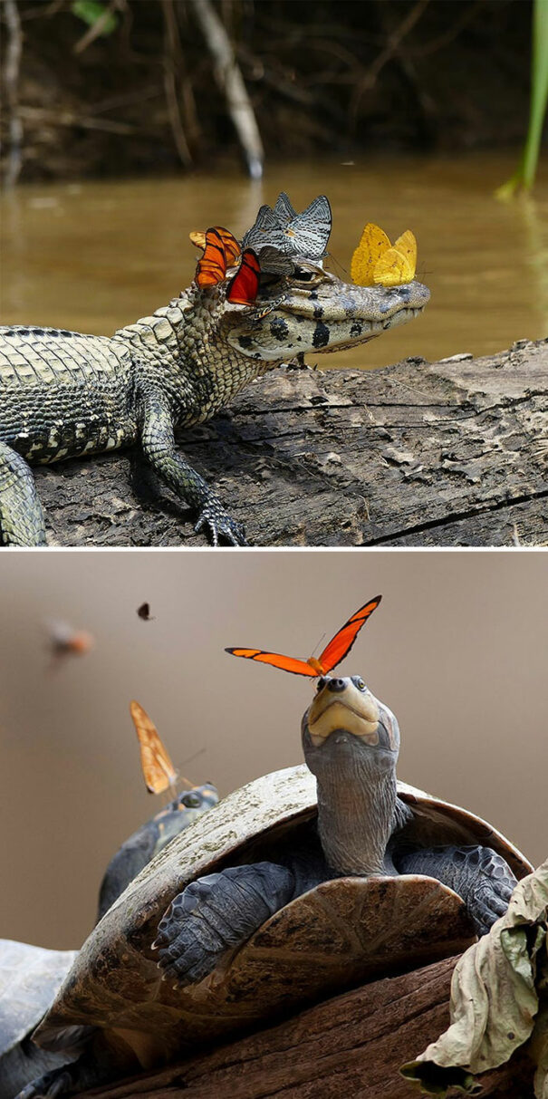 25 Random And Fascinating Facts Shared On This Popular Instagram Page ...