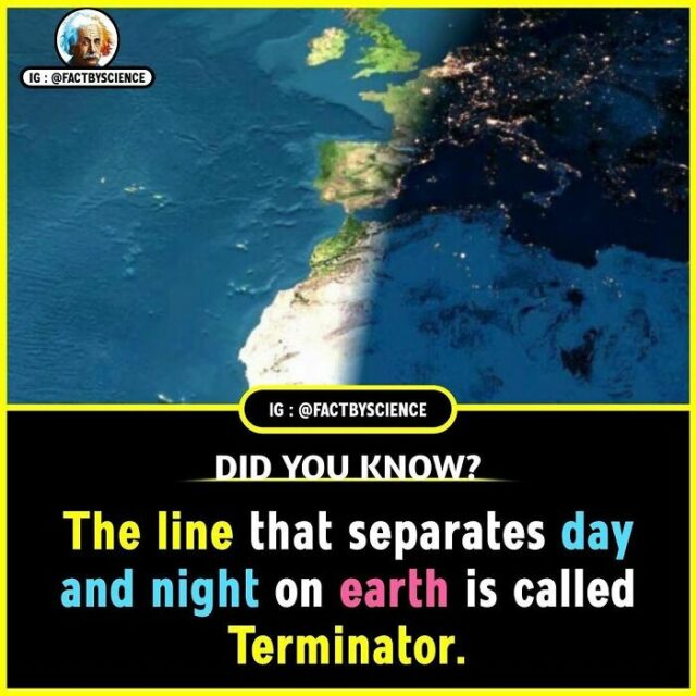 40 Surprising Posts Shared By A Daily Fact Page | DeMilked