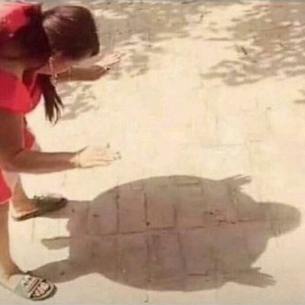 35 'Cursed Images' Without Context That Might Make You Question Things ...