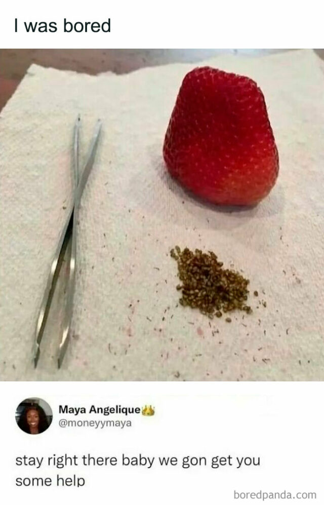 35 Hilarious Memes That Got Featured On This Instagram Page | DeMilked