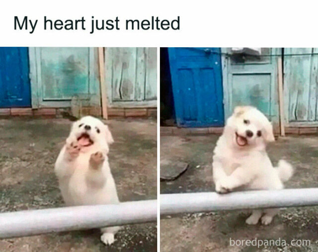 35 Hilarious Memes That Got Featured On This Instagram Page | DeMilked