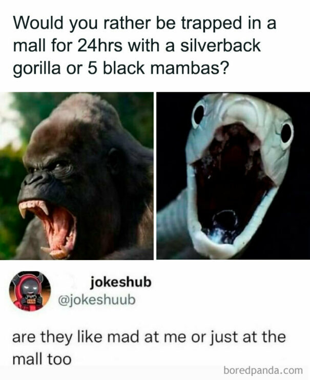 35 Hilarious Memes That Got Featured On This Instagram Page | DeMilked