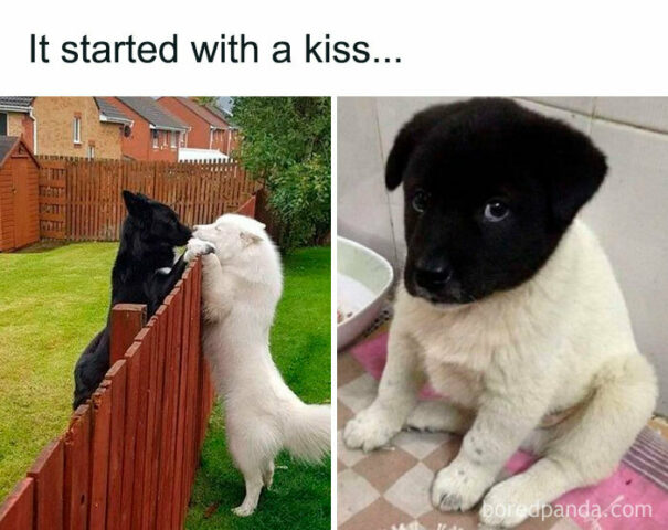 35 Hilarious Memes That Got Featured On This Instagram Page | DeMilked