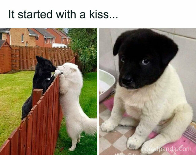 35 Hilarious Memes That Got Featured On This Instagram Page | DeMilked