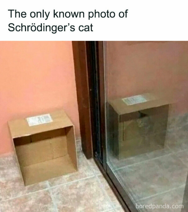 40 Of The Funniest Memes From The “Science Is Fun” Page | DeMilked