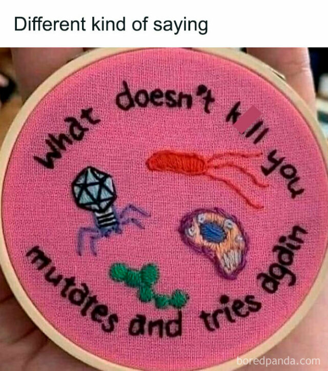 40 Of The Funniest Memes From The “Science Is Fun” Page | DeMilked