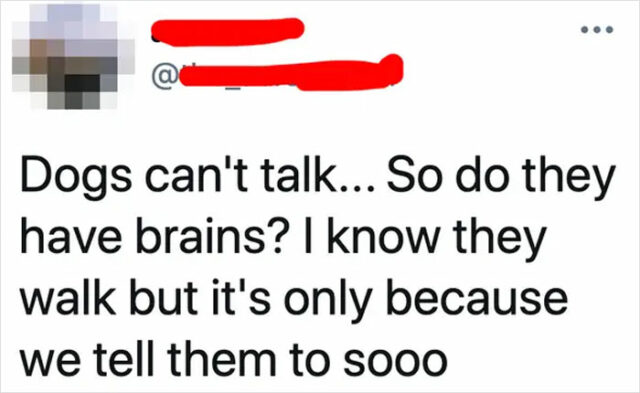 35 Of The Most Incredibly Ignorant Questions Posted Online | DeMilked