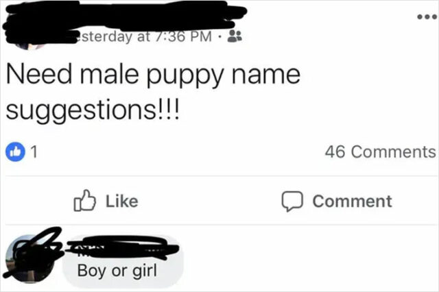 35 Of The Most Incredibly Ignorant Questions Posted Online | DeMilked