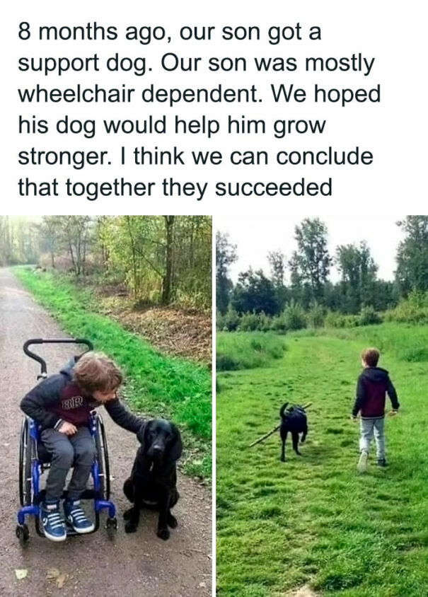 40 Of The Most Wholesome Dog Memes To Grace The Internet | DeMilked