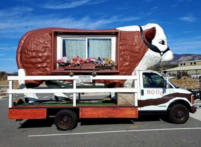 25 Funny Car Mod Fails That Quickly Became Roadside Jokes | DeMilked