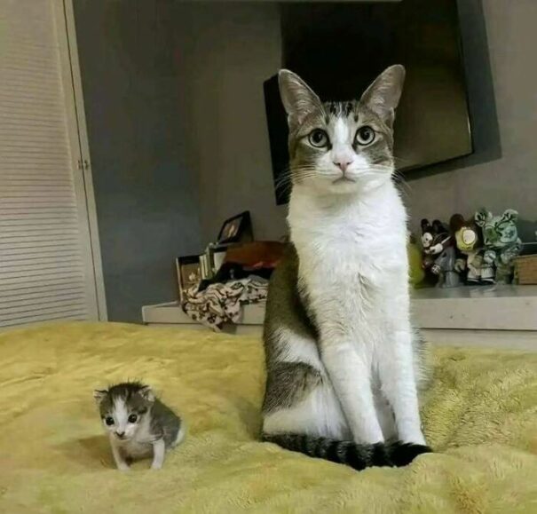 35 Wholesome ‘Blessed Images’ That Might Lift Your Spirits Up | DeMilked