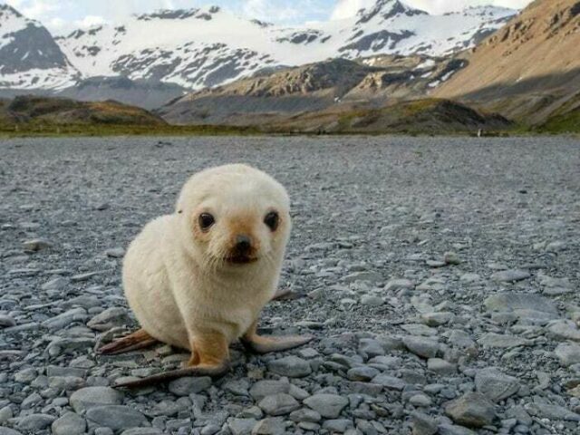 35 Wholesome ‘Blessed Images’ That Might Lift Your Spirits Up | DeMilked