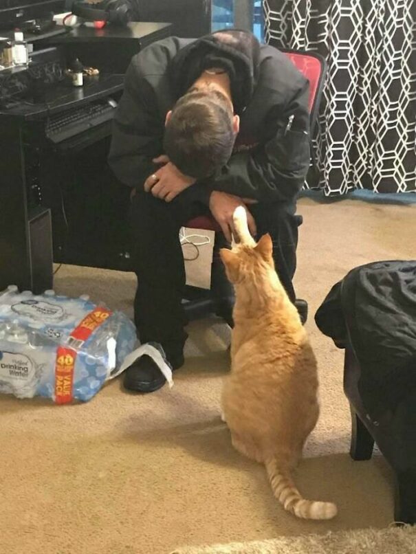 35 Wholesome ‘Blessed Images’ That Might Lift Your Spirits Up | DeMilked