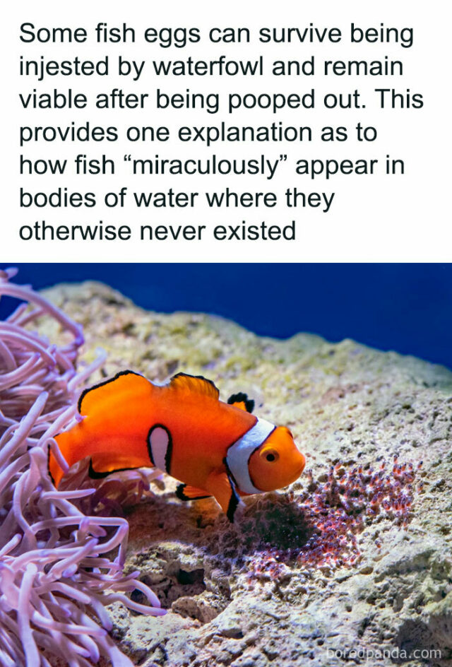 25 Posts From An IG Page That Explain “How Everything Works” | DeMilked