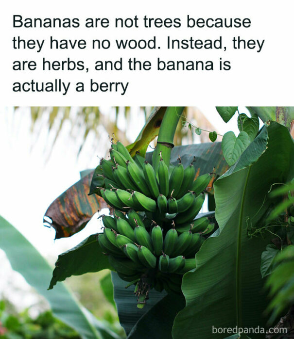 25 Posts From An IG Page That Explain “How Everything Works” | DeMilked