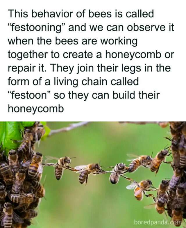 25 Posts From An IG Page That Explain “How Everything Works” | DeMilked