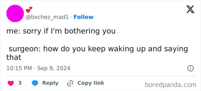 “How Mental”: 35 Relatable Memes For Anyone Struggling To Stay Sane ...