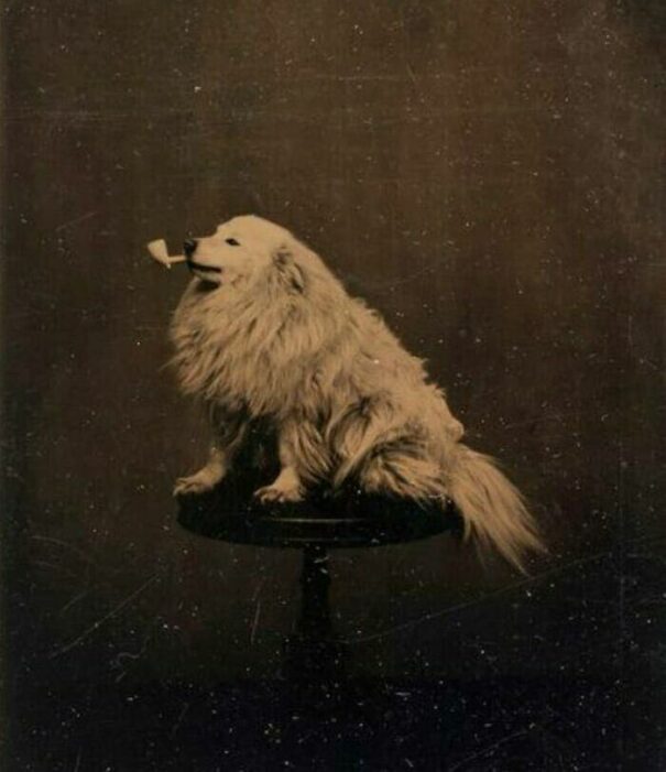 35 Historical Snapshots That Reveal Surprising New Information | DeMilked