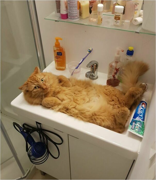 35 Photos Of Things That Randomly Came Together To Make A Perfect Fit ...