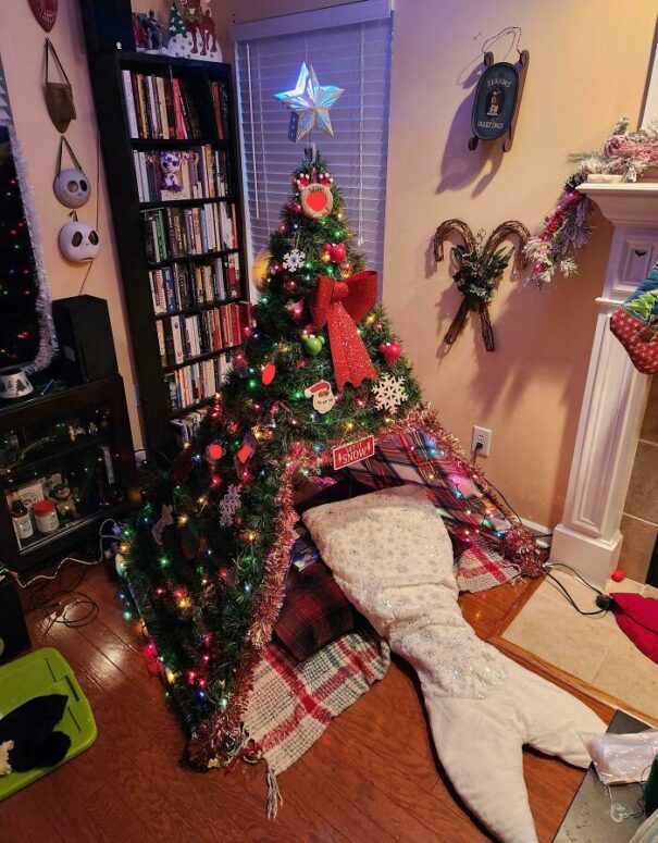 35 Photos Of The Most Creative Christmas Trees | DeMilked