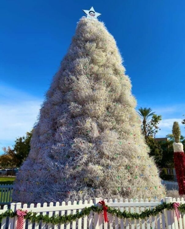 35 Photos Of The Most Creative Christmas Trees | DeMilked